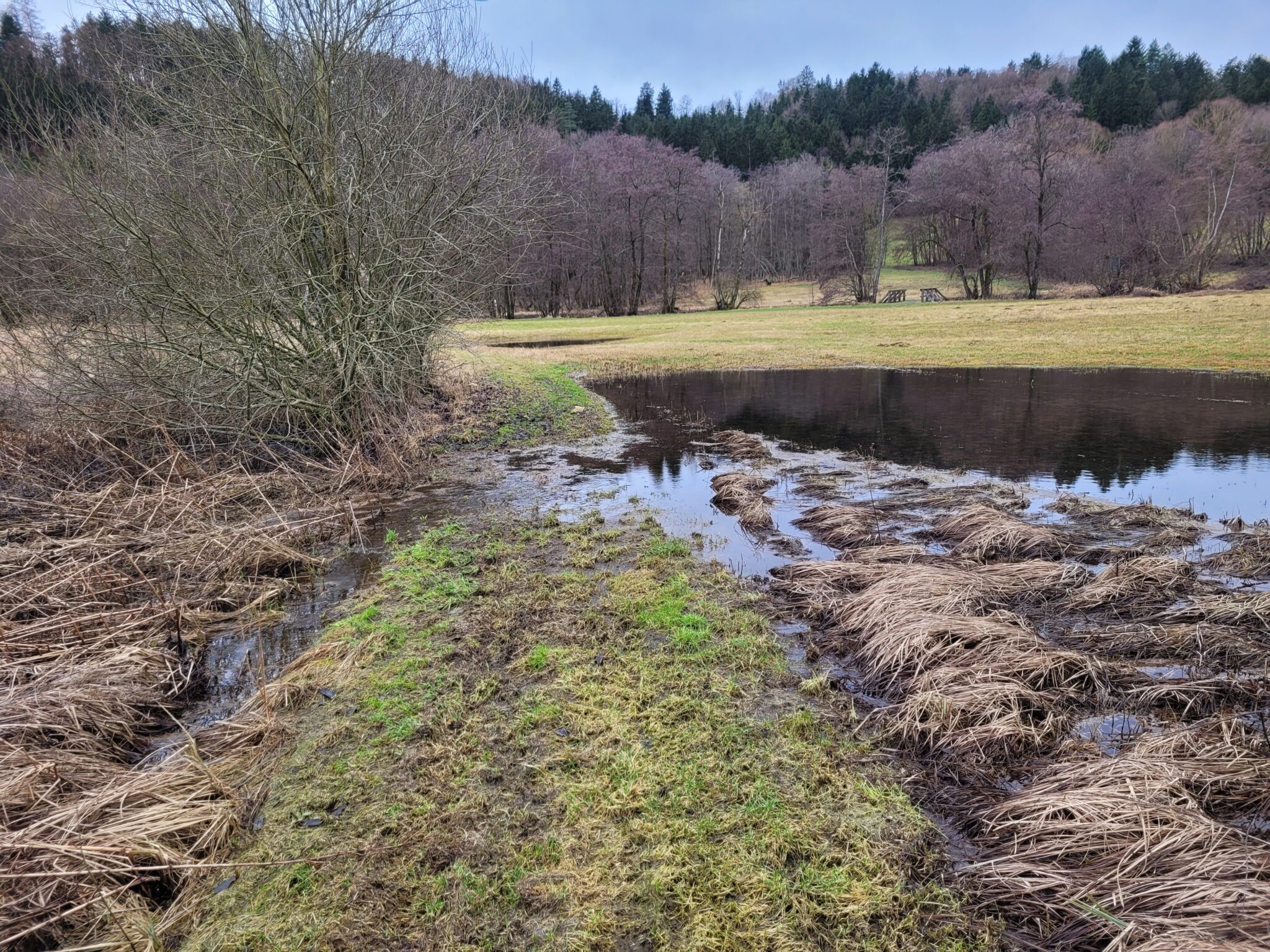 Streckencheck Deining-Dietfurt – JUNUT